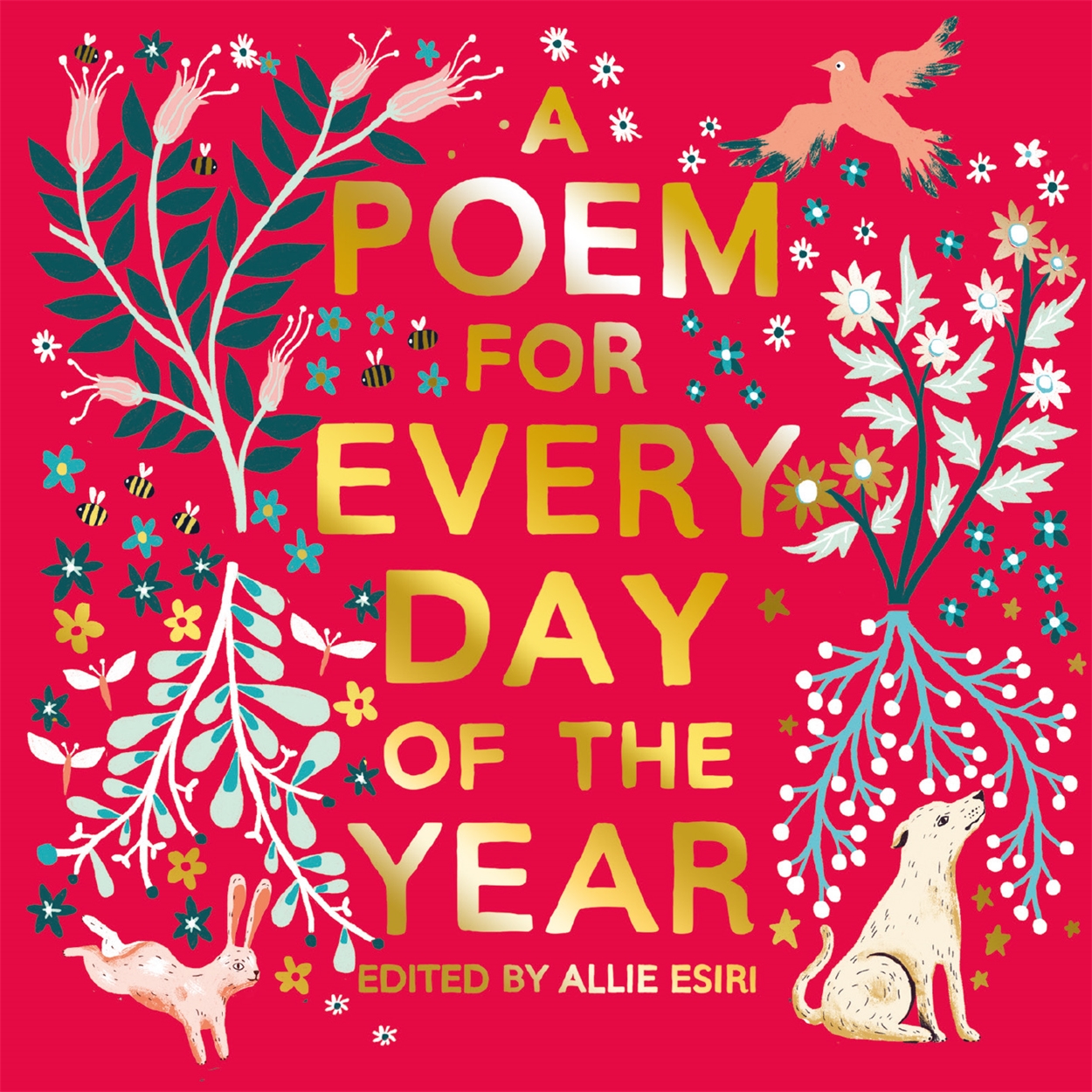 Ten of the Best: New Children’s Poetry – Books For Keeps